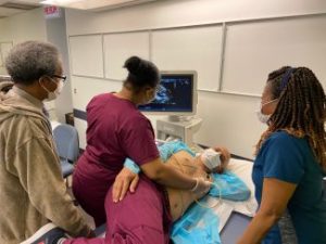 Echocardiography Training Program | Stellar College